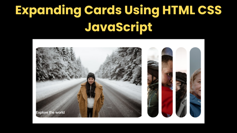 50 Free Css Cards Code Demo